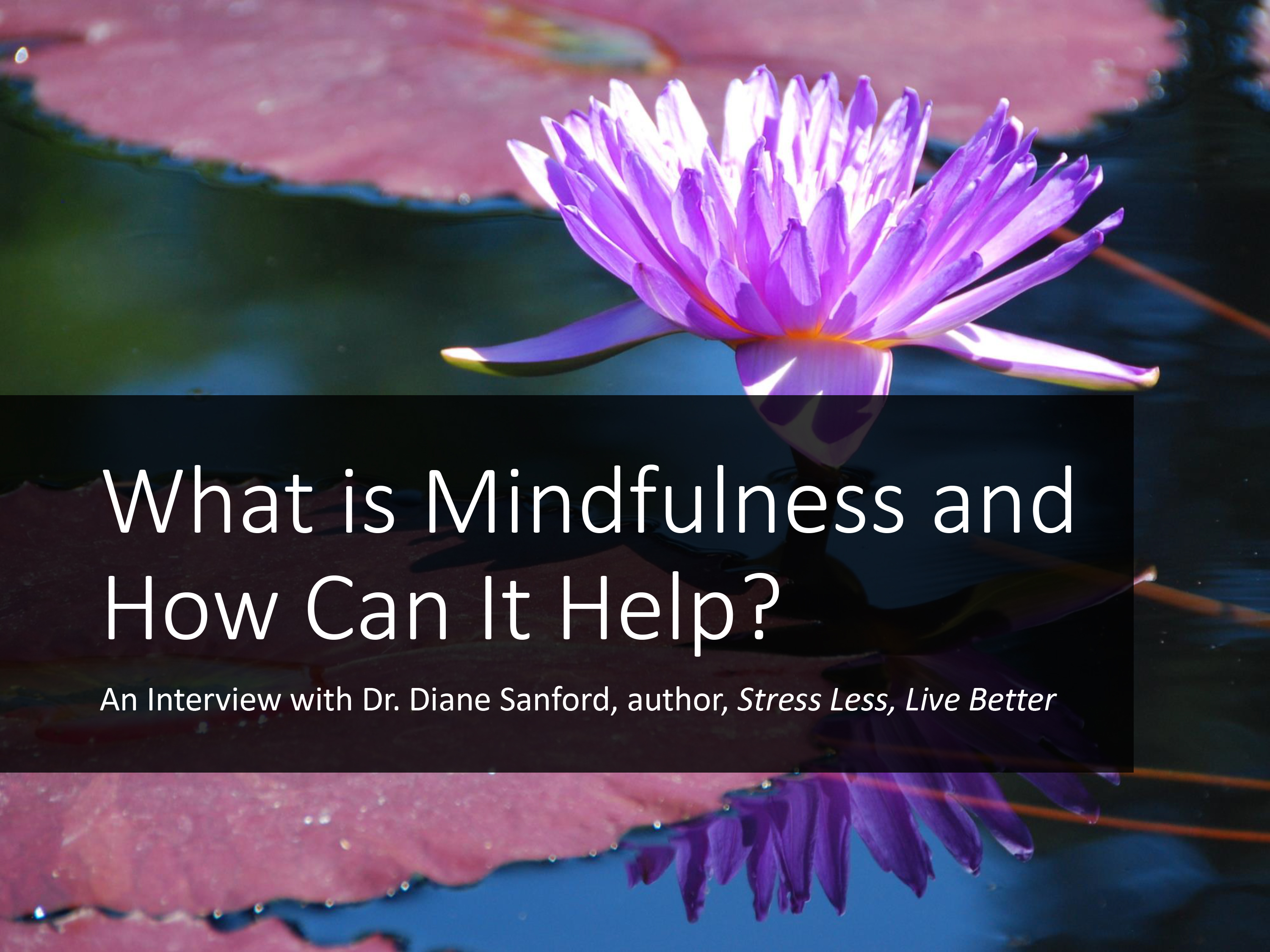 What is Mindfulness and How Can It Help? – Women’s Health Today